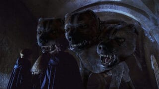 Orthrus. Legends and Myths of the giant 2 head dog.